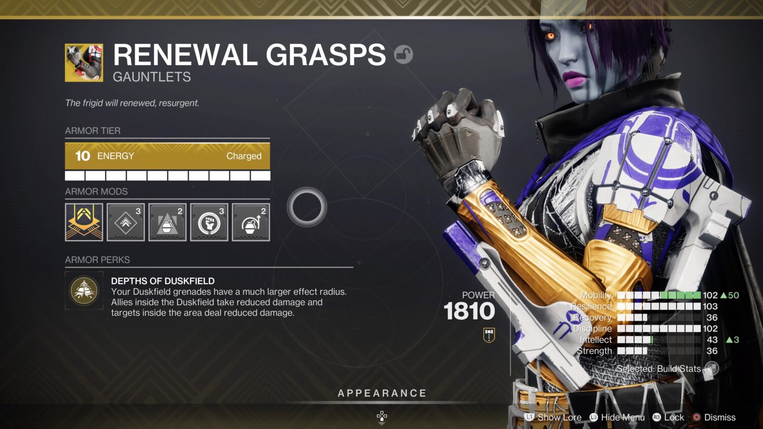Destiny 2 Hunter Stasis Build (The Duskfield Master) - Play Ludos